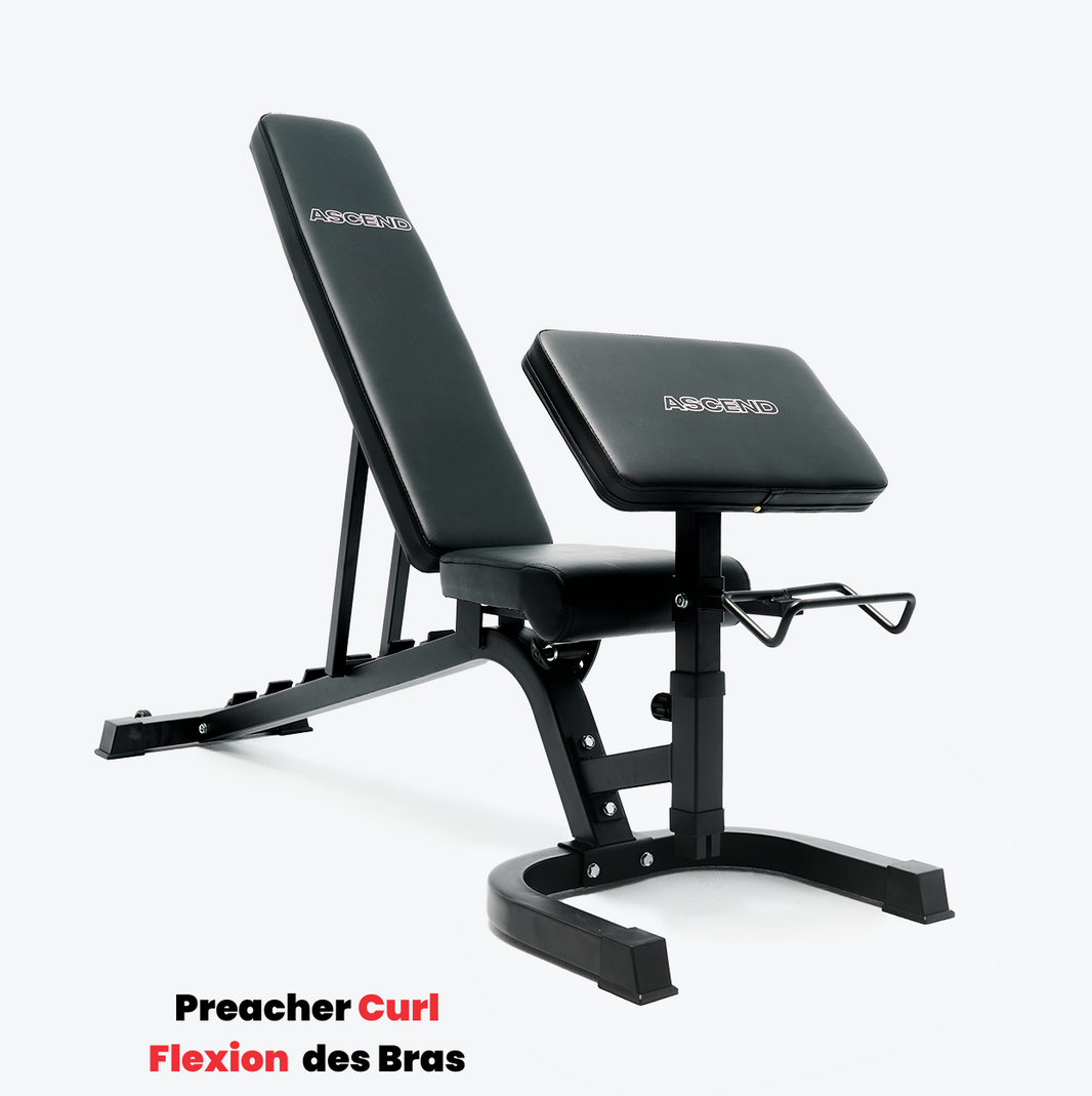Accessoires de gym à domicile | Banc, support et bandes de résistance
